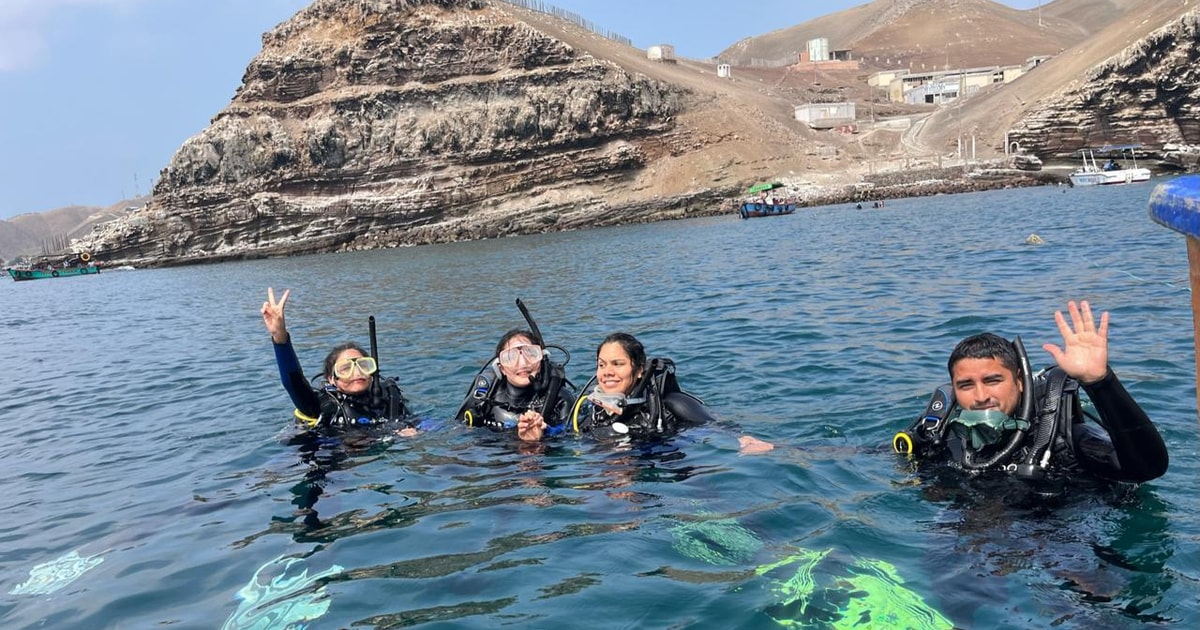 Lima: Descubre el buceo - Primera experiencia | GetYourGuide