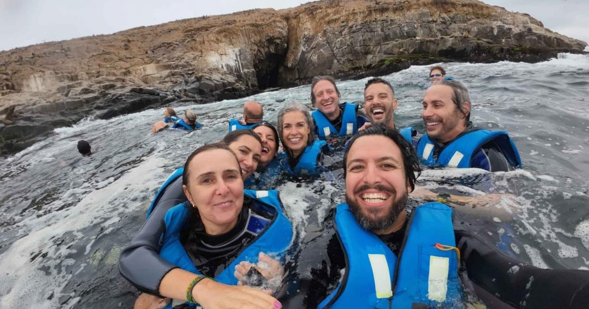 Speedboat ride through the Palomino Islands + Swim with sea | GetYourGuide