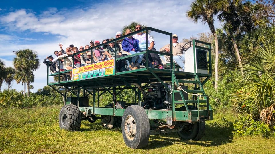 Everglades: Mangrove Maze Airboat Tour and Boardwalk | GetYourGuide