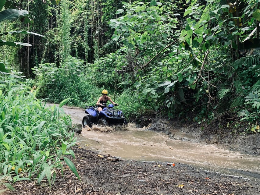 Ubud: Gorilla Face ATV Quad Bike | GetYourGuide