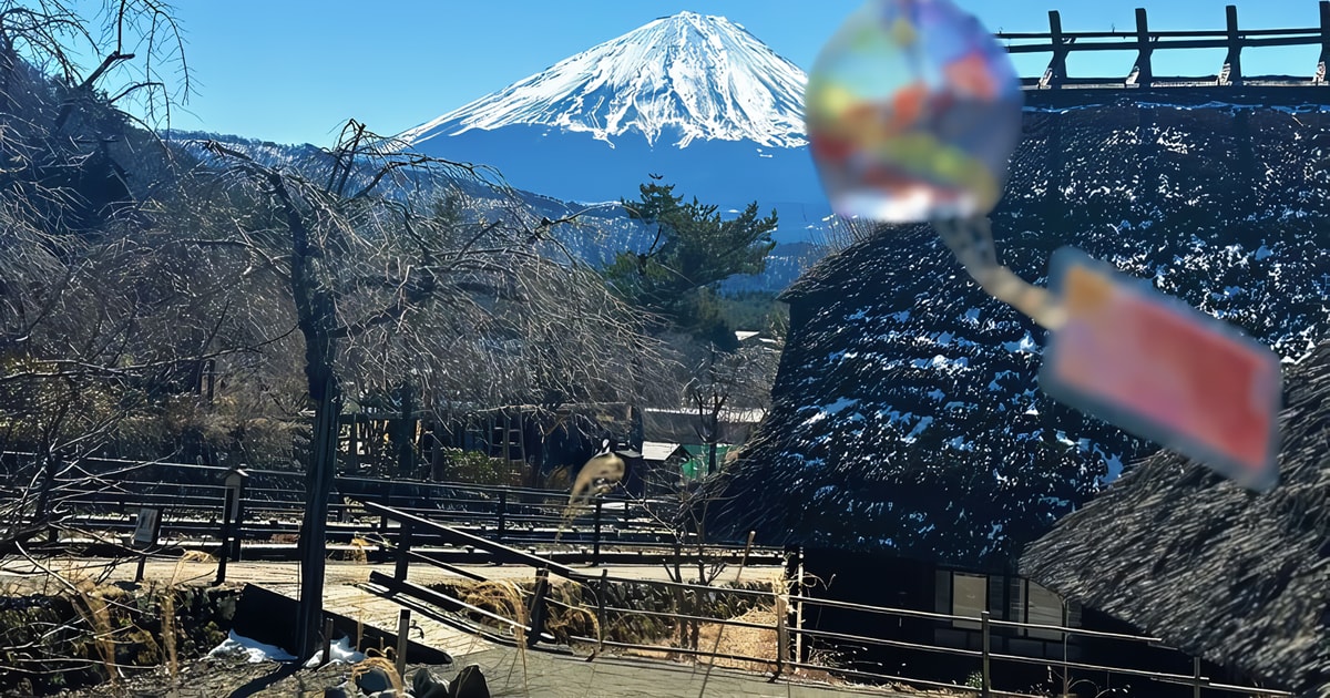Från Tokyo: Skräddarsydd privat heldagstur till Fuji | GetYourGuide