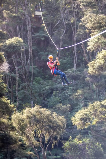 Coromandel: Guided Zipline Tour Experience | GetYourGuide