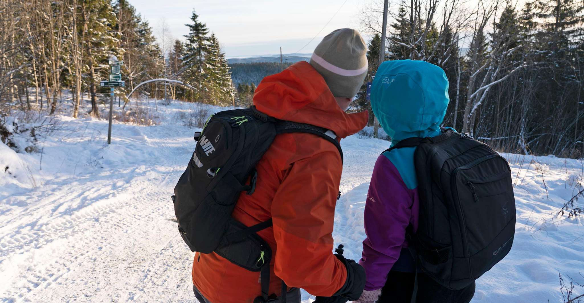 Oslo, Snow Hike to Vettakollen with Oslofjord Winter View | Adventure ...