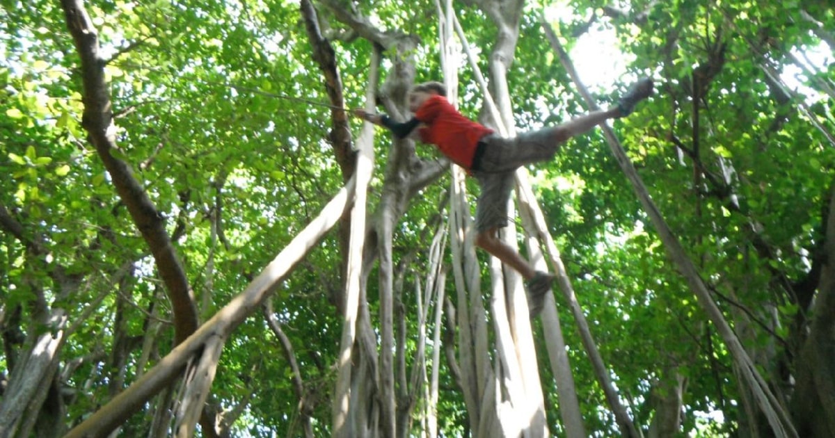 Bermuda: Hidden Gems Winter Excursion | GetYourGuide