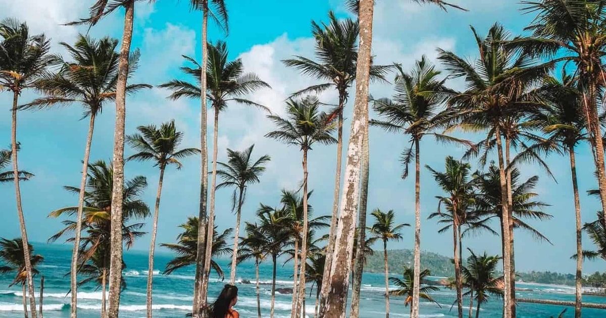 Kandy: Galle Dutch Fort and Mirissa Hill Treetops Day Tour | GetYourGuide
