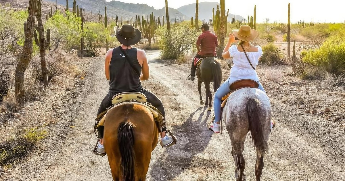 La Paz: Paseos a Caballo | GetYourGuide