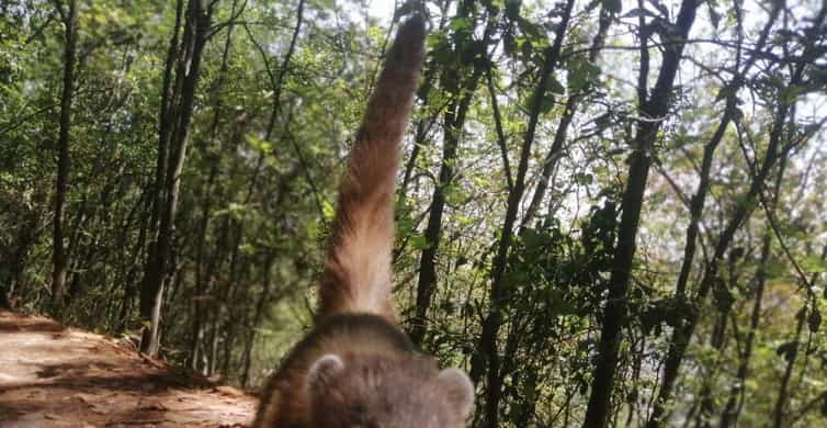 Monterrey: Chipinque Ecological Park Guided Tour | GetYourGuide