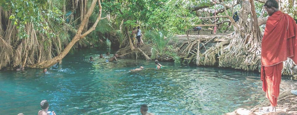 Kikuletwa Hotspring Day Trip | GetYourGuide