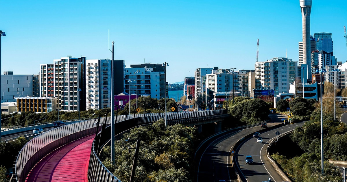 Auckland Urban Wonders Half Day Tour | GetYourGuide