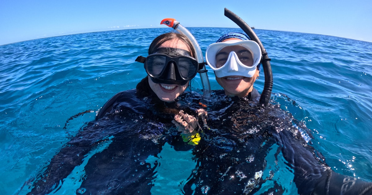 Agnes/1770: Southern Great Barrier Reef Snorkelling Day Trip | GetYourGuide