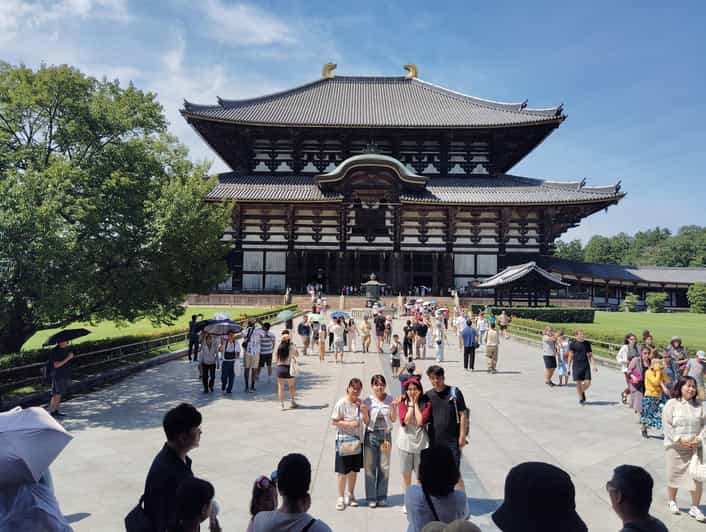 Nara: Destaques de Nara em 3 horas - tour guiado | GetYourGuide