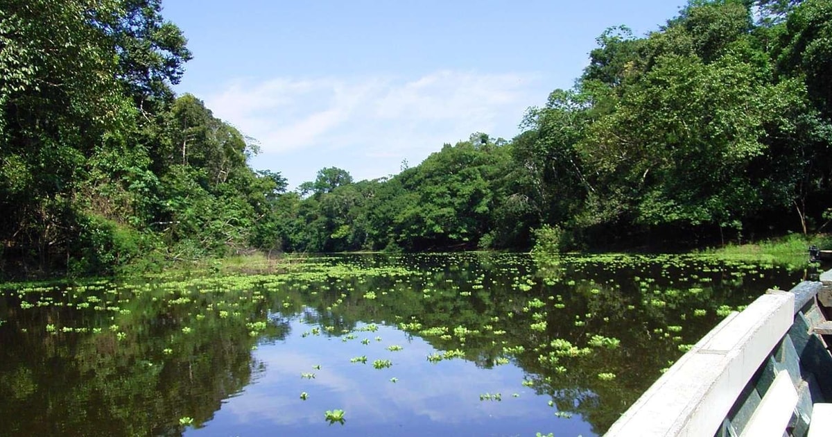 MONKEY´S EXCURSION 2D/1N | GetYourGuide