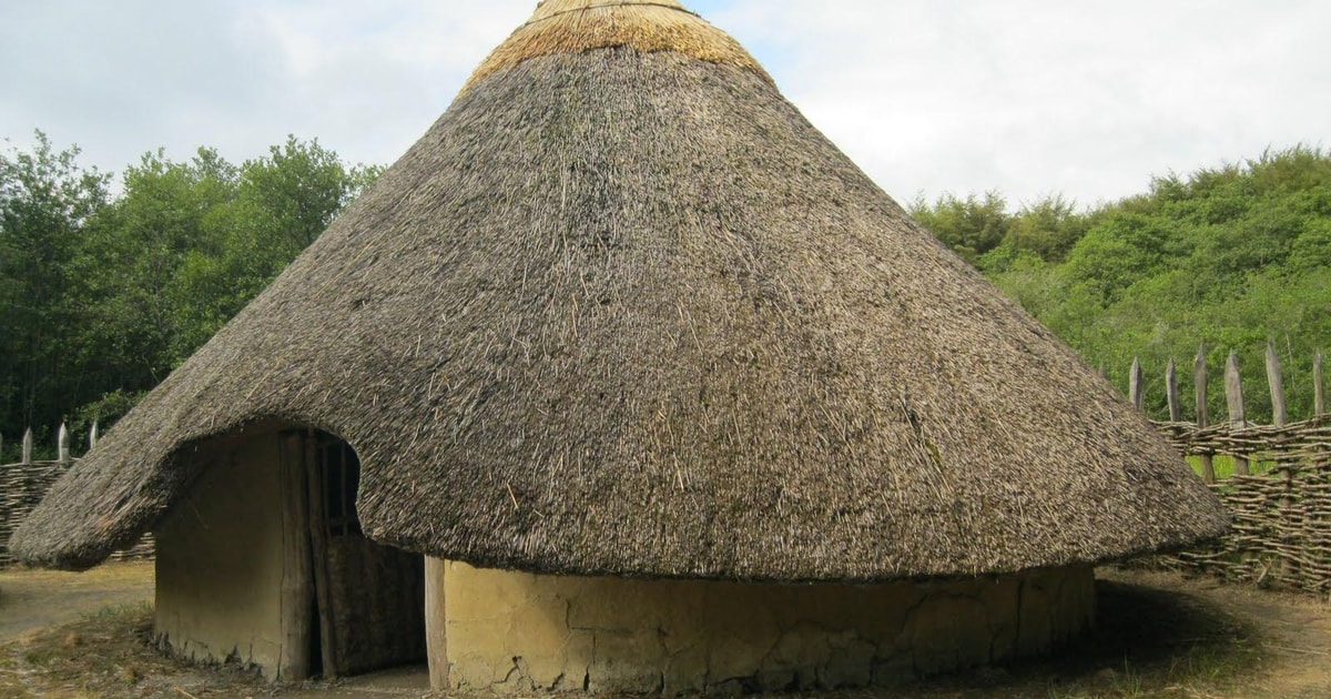 Medio día en la Reserva de Caza de Tala y el Parque Safari Phezulu ...