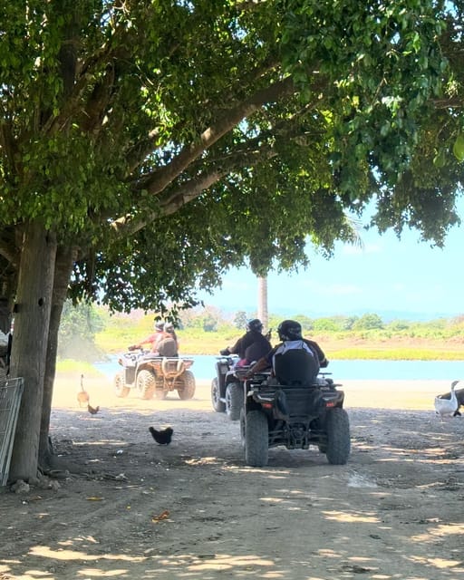 Puerto Rico: Hacienda Campo Rico ATV Experience with Pickup | GetYourGuide