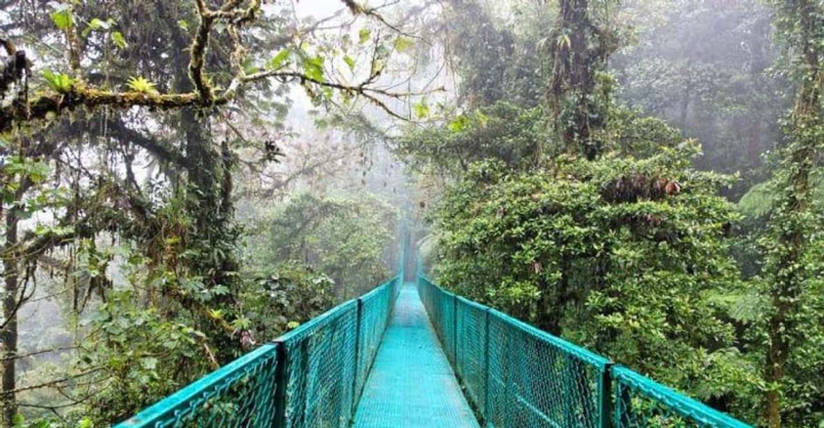 From San Jose: Private Monteverde Rain Forest Day Tour | GetYourGuide