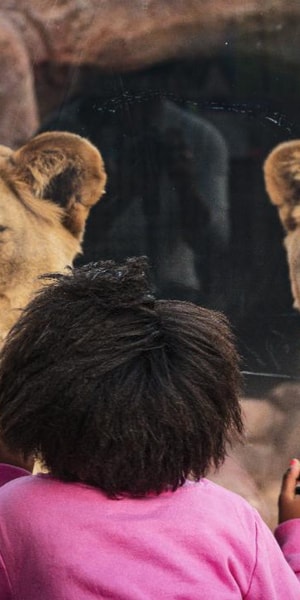 Phoenix Zoo: One Day General Admission Ticket | GetYourGuide