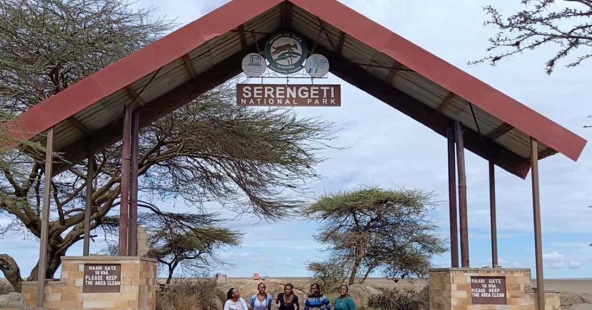Mwanza Excursión de un día al Parque Nacional del Serengeti con ...