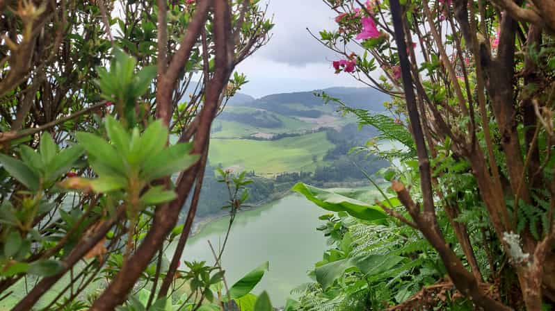 São Miguel: Iconic Furnas Volcano & Nordeste Full-Day Tour | GetYourGuide