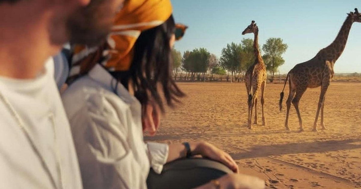 Riyadh: Nofa Wildlife Park Safari Private Tour | GetYourGuide