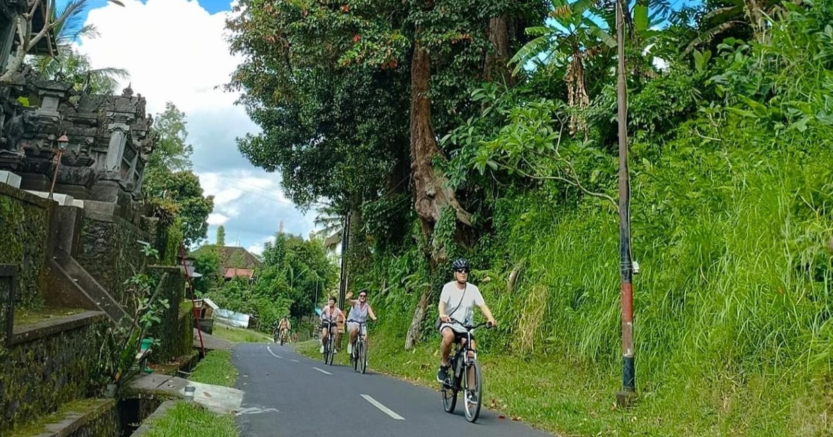 Ubud: E-Bike-Tour & Swing Bali | GetYourGuide