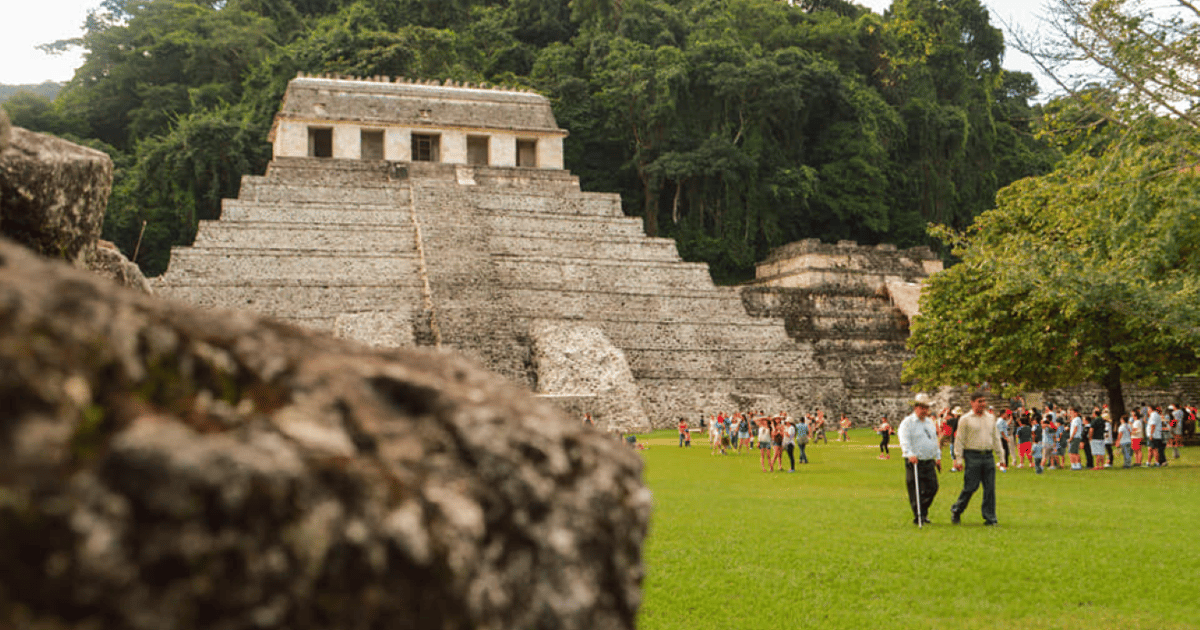 Palenque Archaeological Area and Roberto Barrios Waterfalls | GetYourGuide