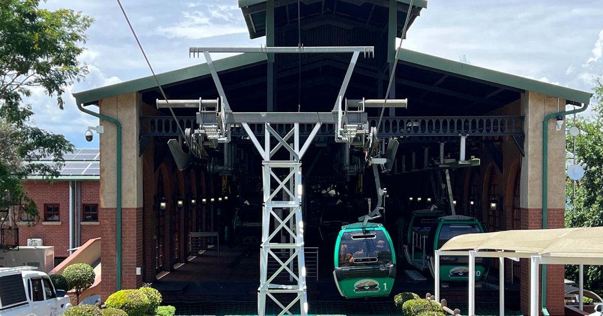 Johannesburg: Cableway and Lunch Boat Cruise Half Day Tour | GetYourGuide