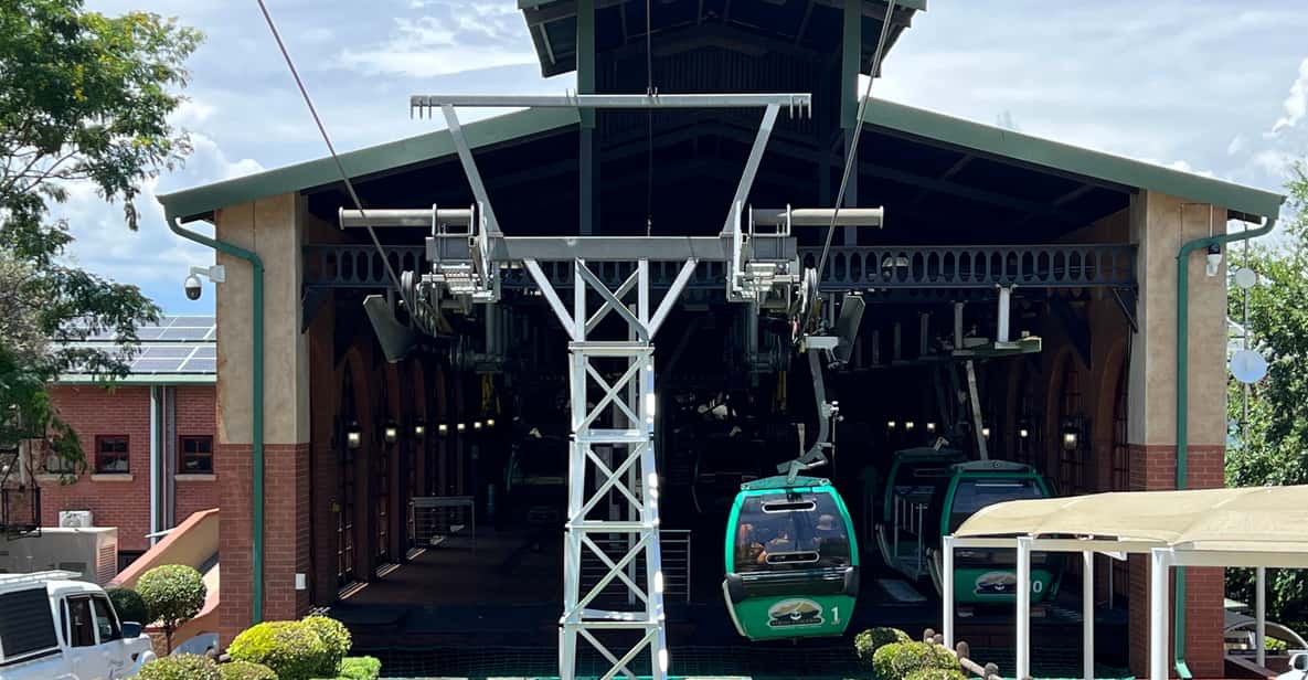 Johannesburg: Cableway and Lunch Boat Cruise Half Day Tour | GetYourGuide