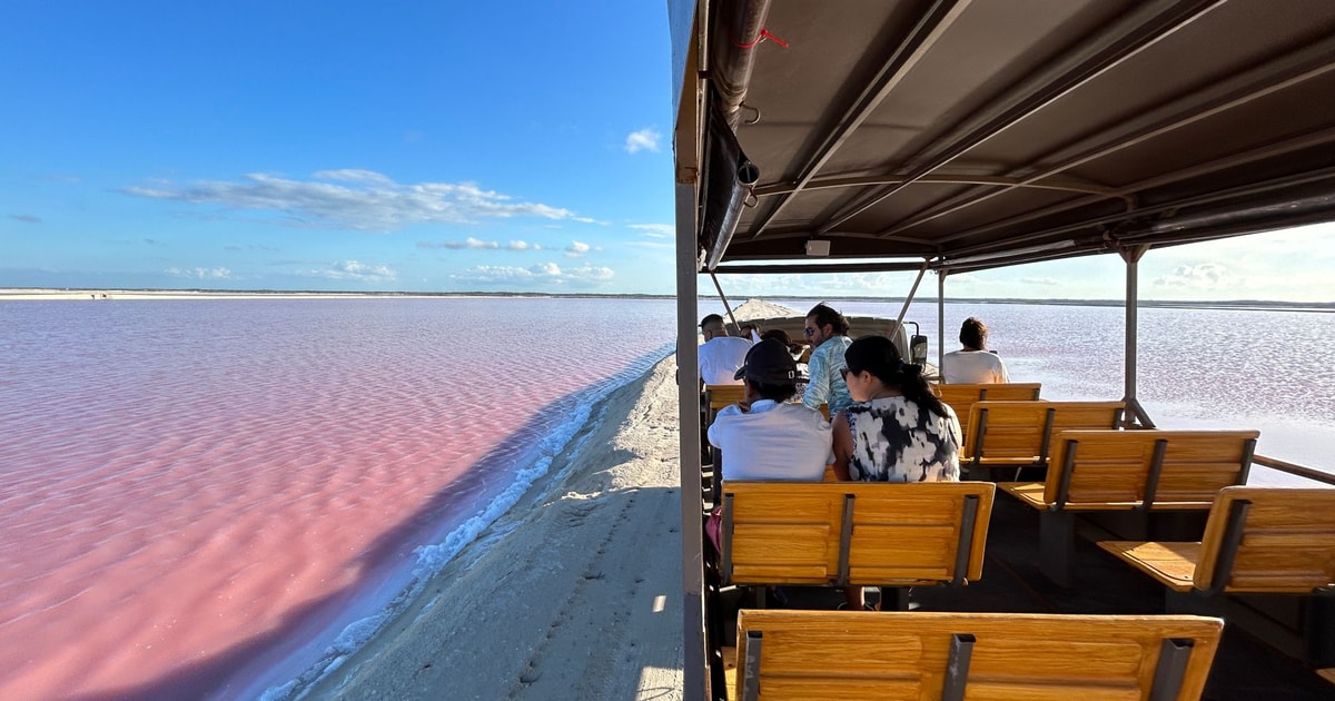 From Cancun: Las Coloradas - Safari & Salt Mining Day Trip | GetYourGuide