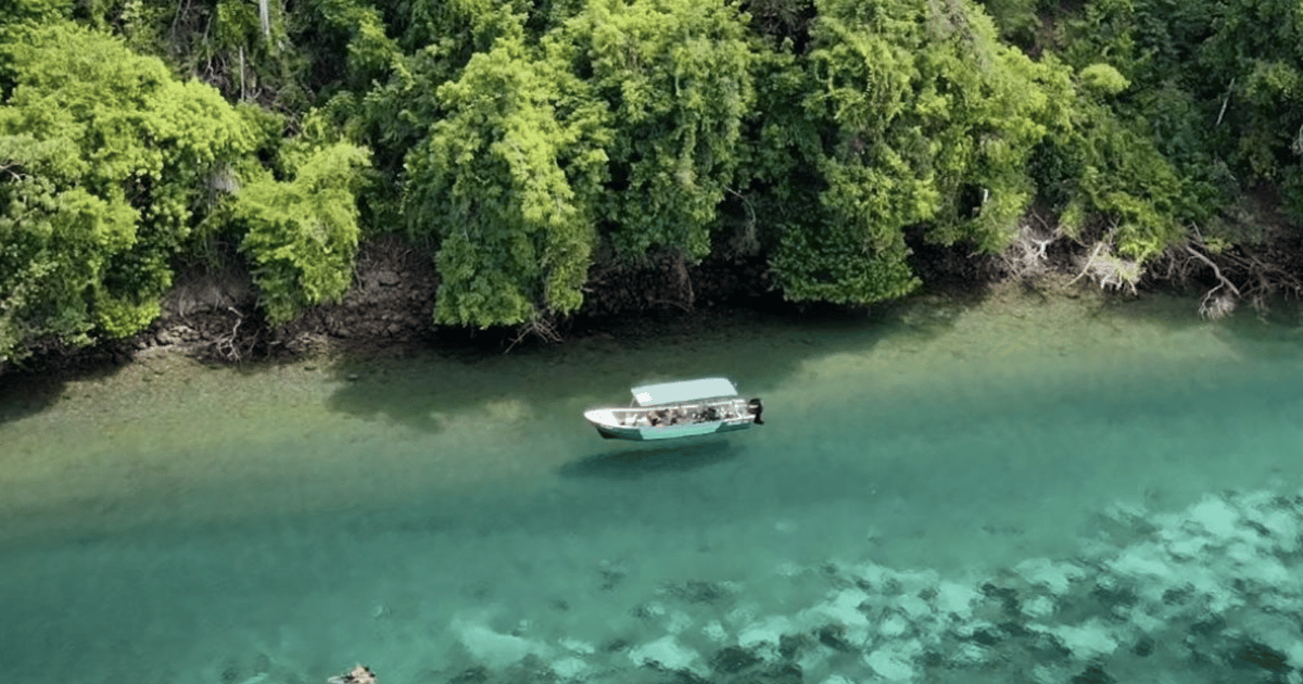 Golfo Dulce: Tour de snorkel 100% privado y personalizado | GetYourGuide