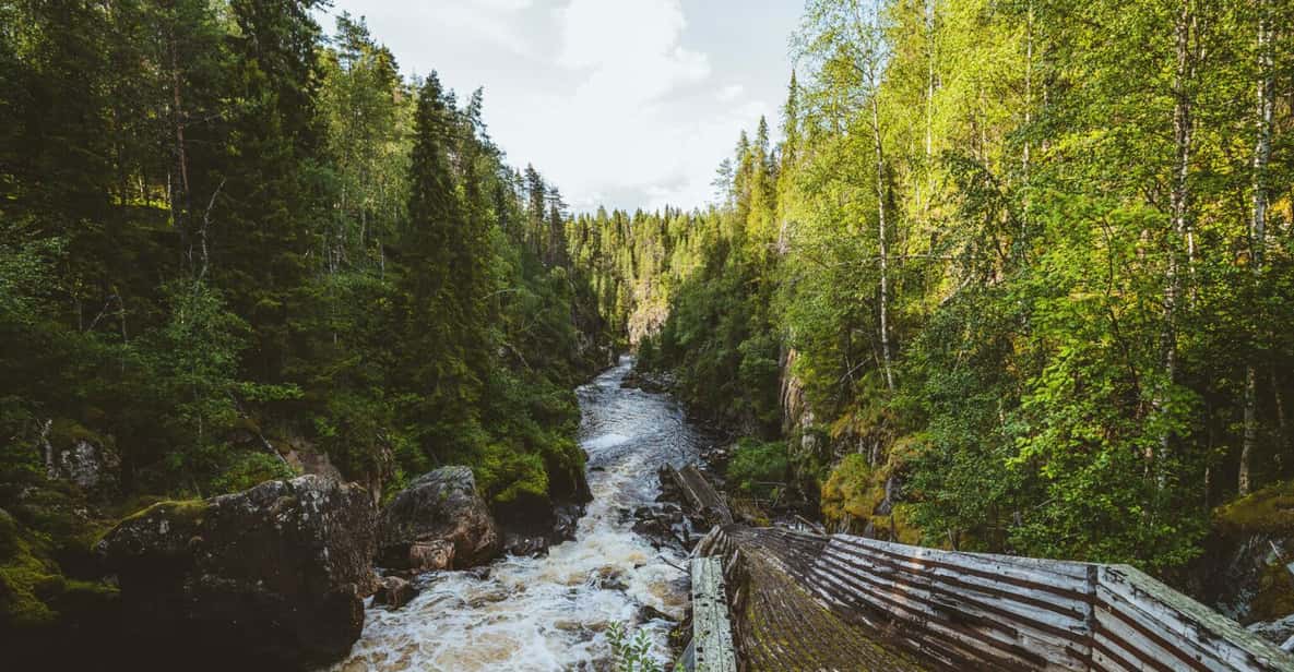 Celodnevni izlet na Laponsko: Od najboljših znamenitosti do polnočnega ...