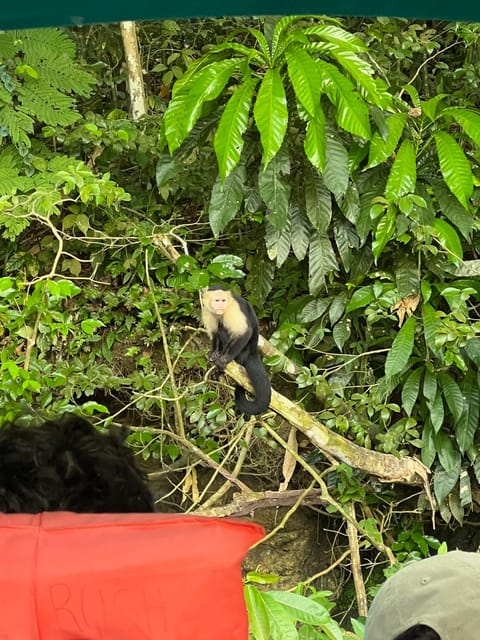 Ciudad de Panamá: Canal de Panamá y Excursión por el Lago Gatún ...