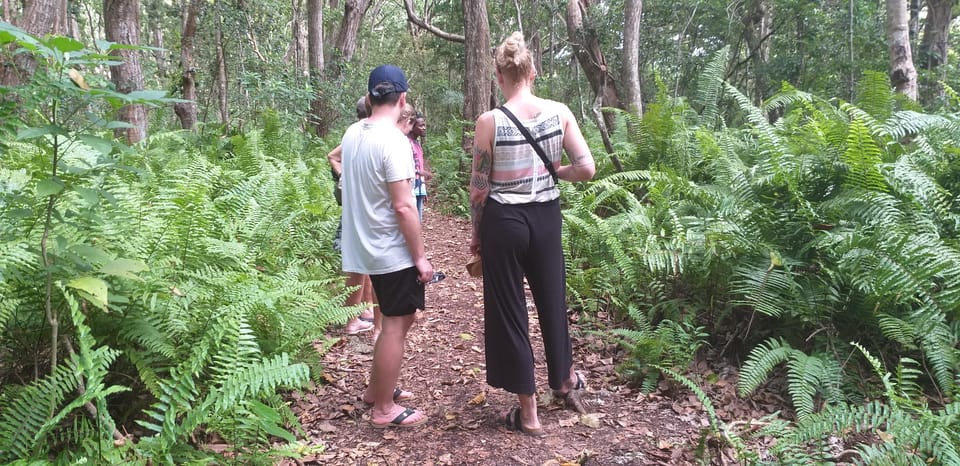 Zanzibar: Jozani Chwaka Bay National Park Private Tour | GetYourGuide