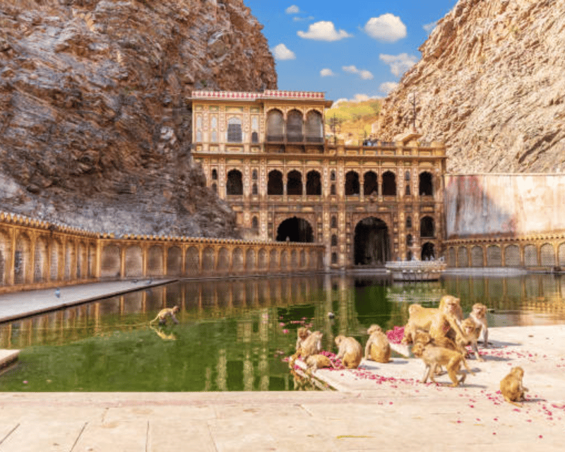 Jaipur: Tour turístico con el Templo Galtaji (Templo de los Monos ...