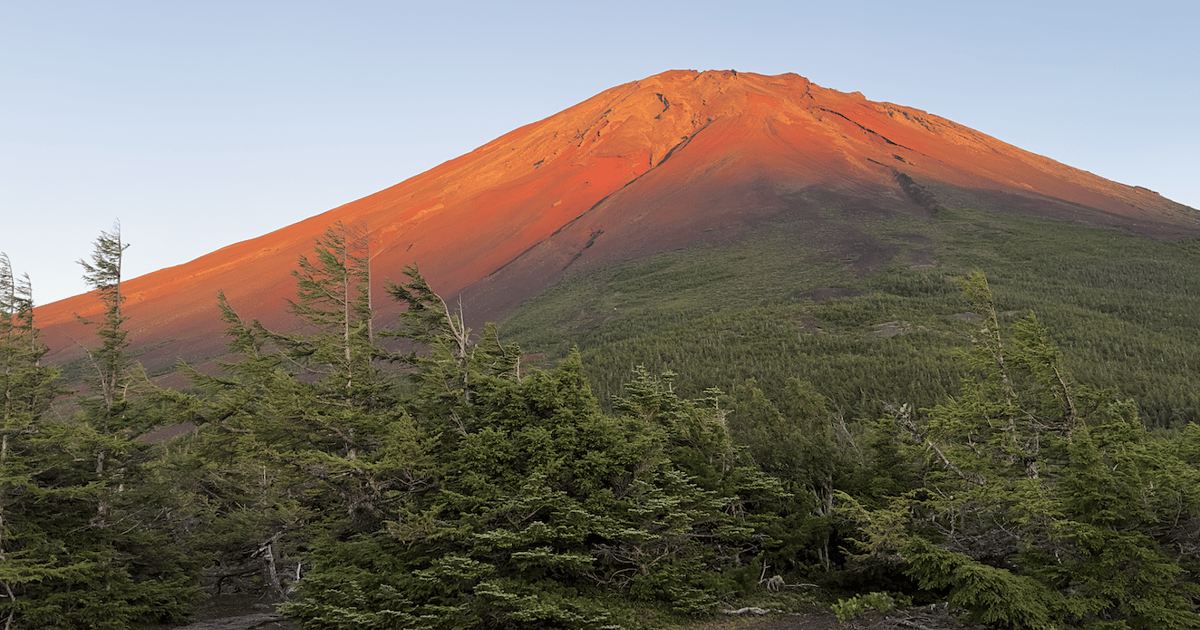 Mount Fuji Tour from Tokyo with English speaking guide | GetYourGuide