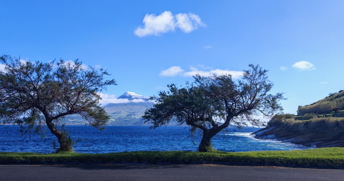 Horta, Faial, Azores: Walking Tours and Trails with a Local Guide ...
