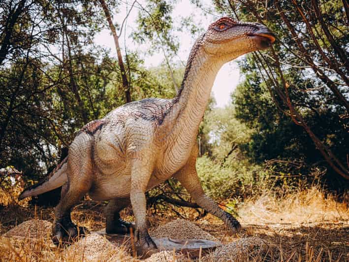Dino Trail: Dino Kingdom Admission Ticket | GetYourGuide