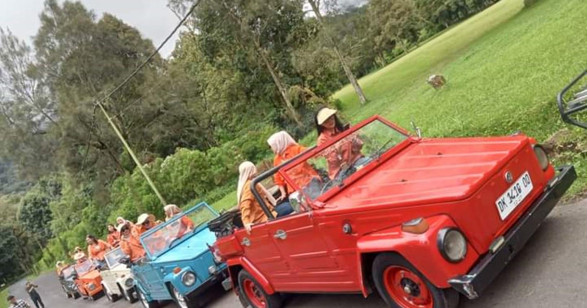 Experience in Ubud: VW Tour, Bali Swing, and Infinity Pool | GetYourGuide