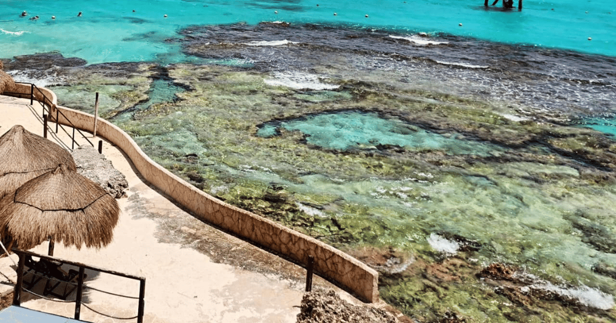 Cancun: Dolphin discovery ride interaction | GetYourGuide