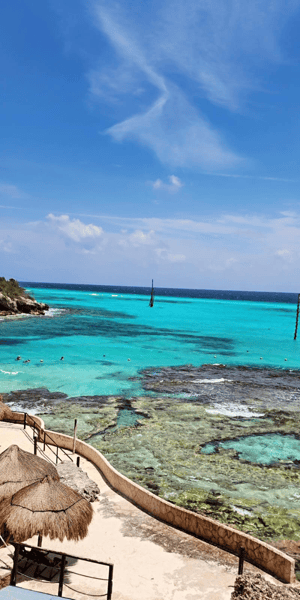 Cancun: Dolphin discovery ride interaction | GetYourGuide