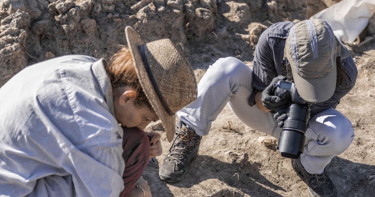 Nazca: Archaeological Tour, Inca ruins, Geoglyphs and Aqueducts ...