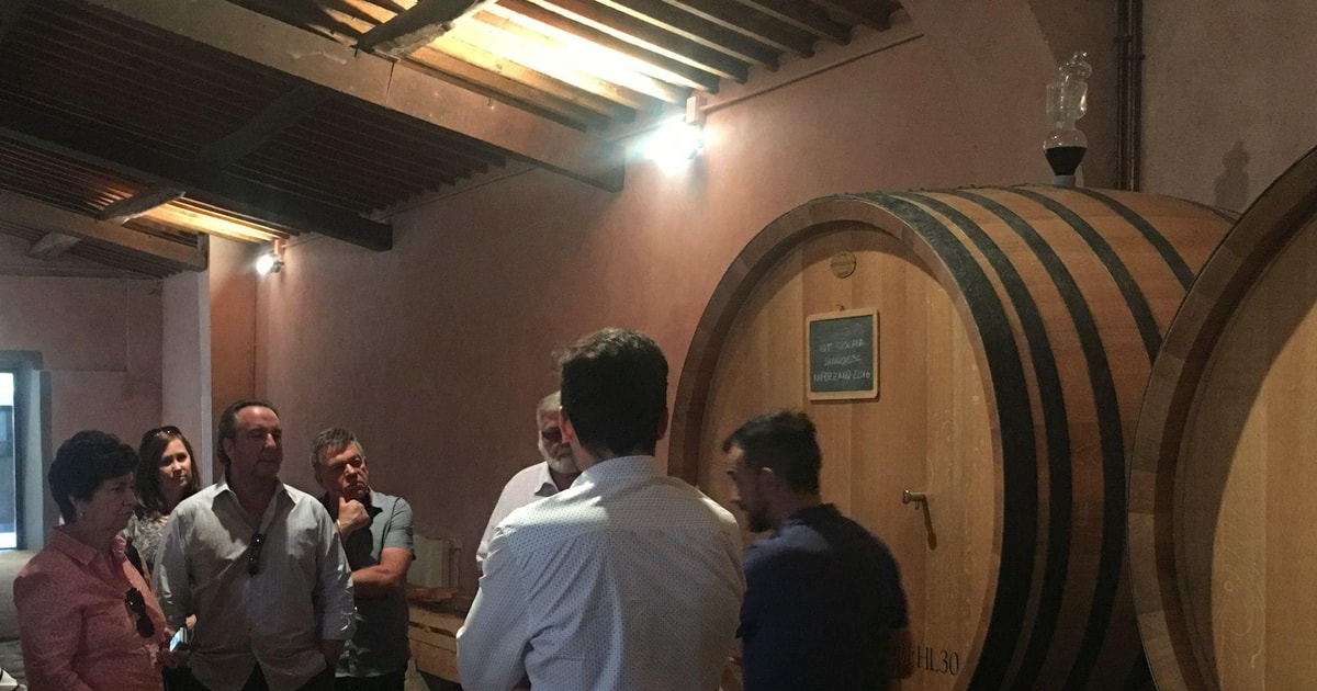 Tour di Gruppo di Pompei Scavi: Degustazione di Vini e Formaggi e ...