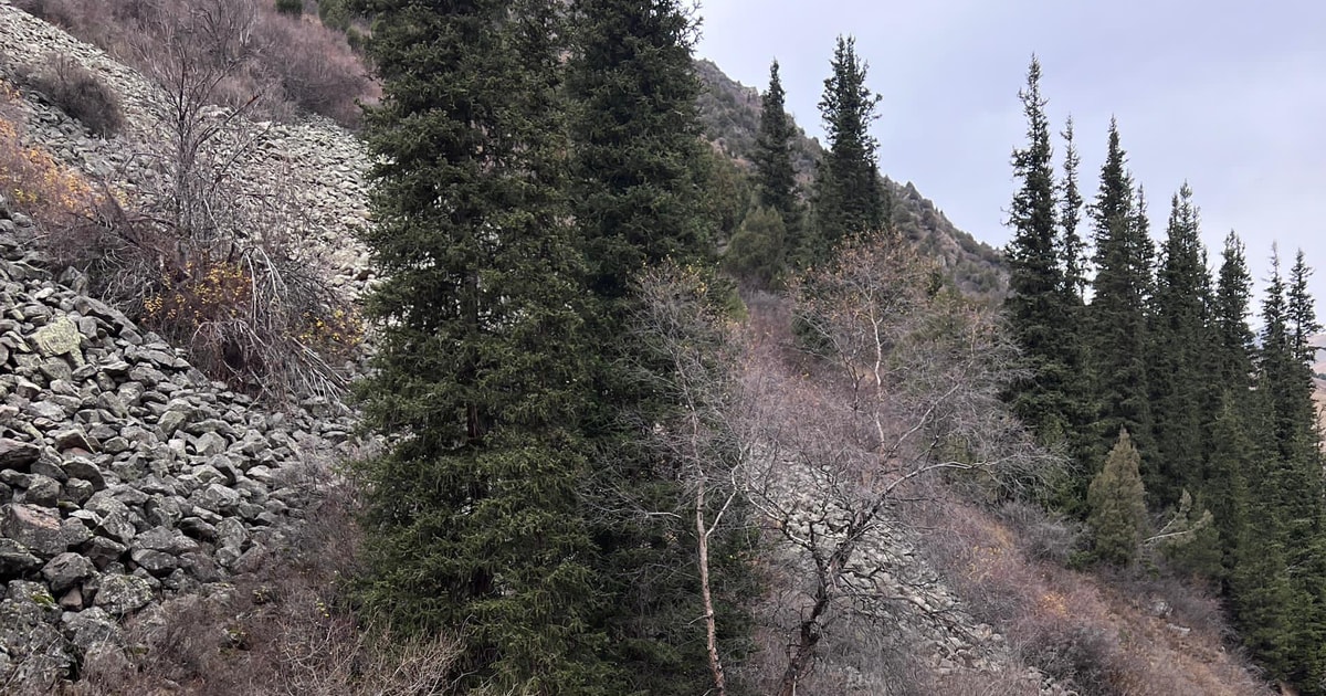 Tour to Ala Archa National Park | GetYourGuide