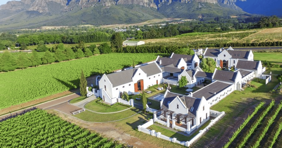 Full-Day Private: Best of the Cape | GetYourGuide