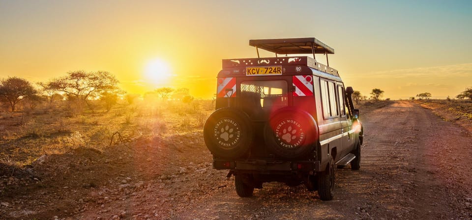 5 Days Group Serengeti, Ngorongoro & lake Manyara Safari | GetYourGuide
