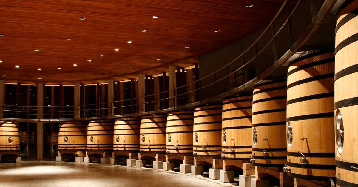 Tour de un día completo a las Bodegas de Lujo de Colchagua | GetYourGuide