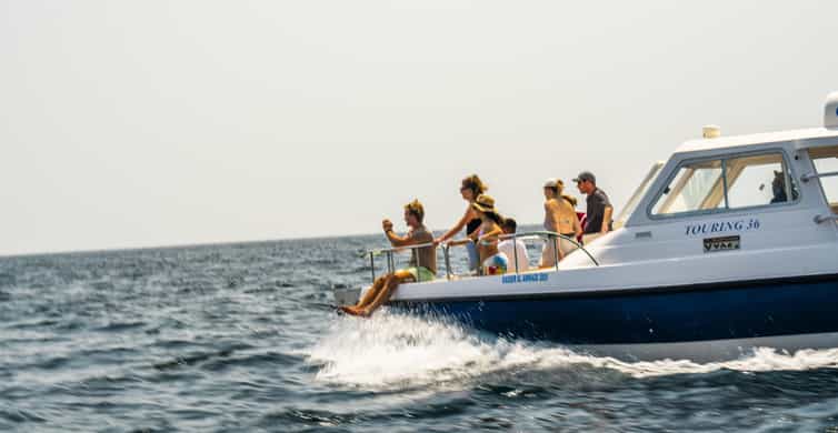 Muscat: Dolphin Watching Boat Trip with Snacks & Local Guide | GetYourGuide