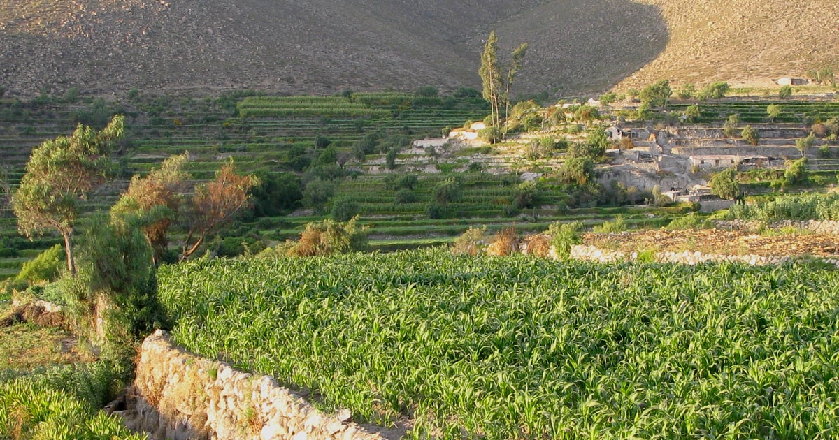 Arequipa: Half-Day Countryside Hike with Guide | GetYourGuide