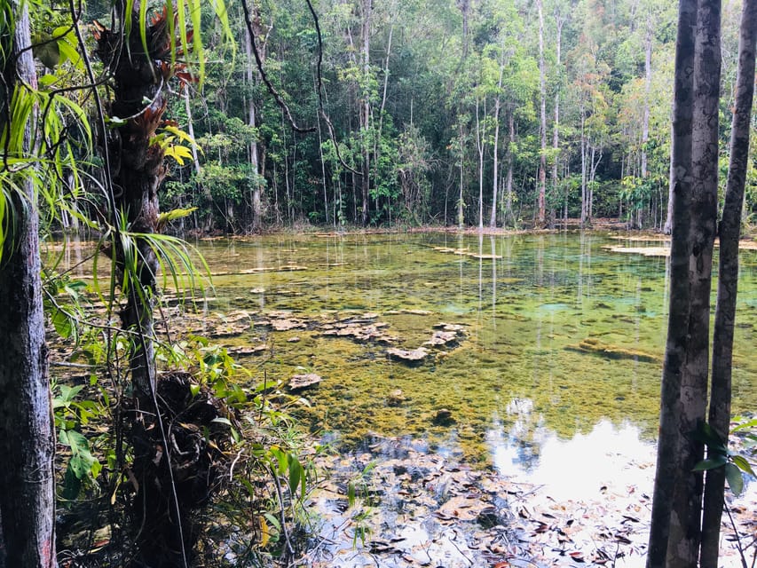 Krabi: Emerald Pool and Hot Springs Waterfall Half-Day Trip | GetYourGuide