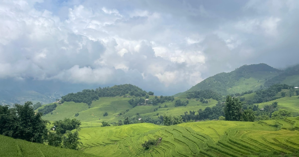Sa Pa: Ta Phin, Sa Seng, and Ham Rong Mountain Tour | GetYourGuide