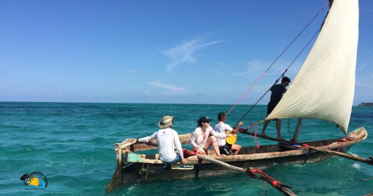 Zanzibar: Ngalawa ile Şnorkelli Yerel Balıkçılık Turu | GetYourGuide